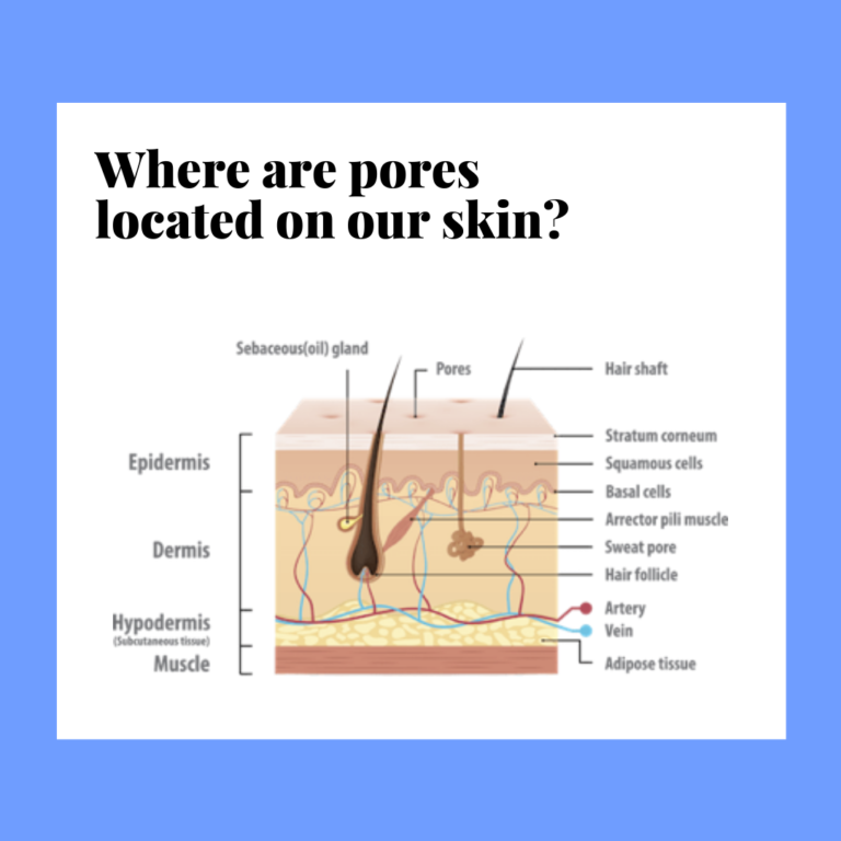 Pore-loving Ingredients – Minimize Pores With These Ingredients