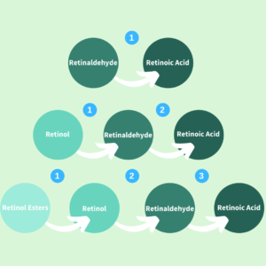 Retinoid Cheat Sheet with @Skinchemy: Guide to Retinoids in Skincare