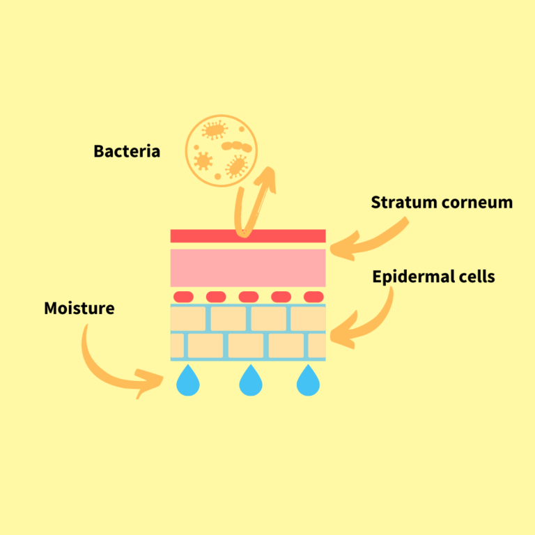 FAQ with @Skinchemy: How Do I Repair My Skin Barrier?