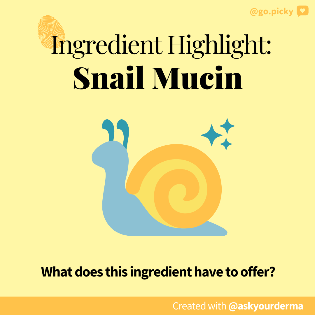 Ingredient Spotlight: Snail Mucin